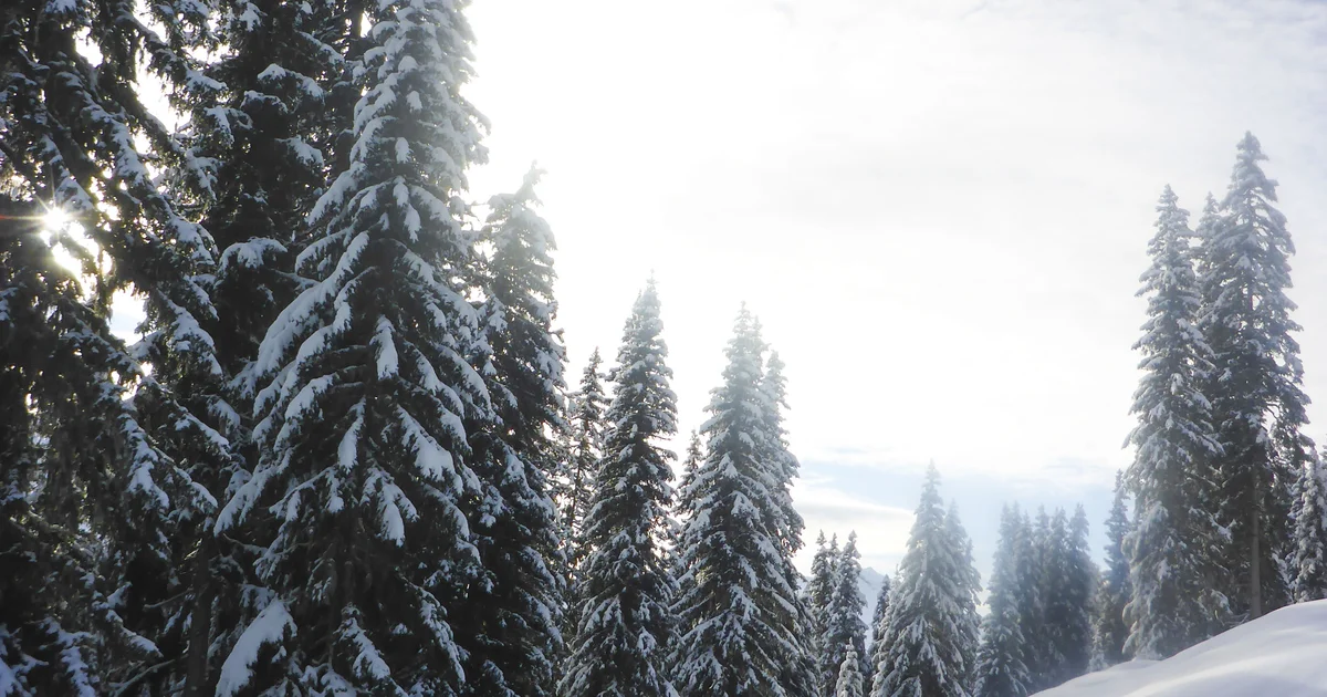 Christmas in an Alpine Wonderland | Albatross Tours