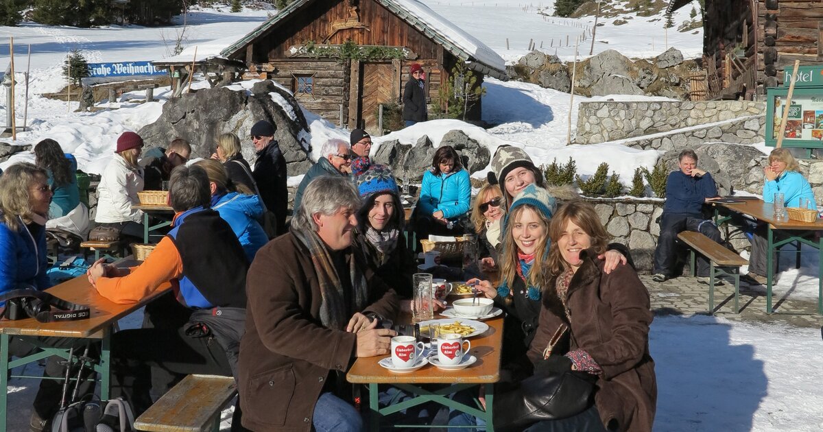 Christmas Holiday Break Tours | Albatross Tours
