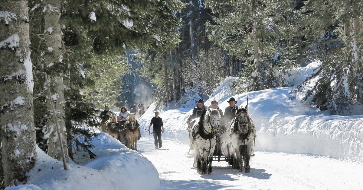 Christmas New Year & Festive Europe Tours | Albatross Tours